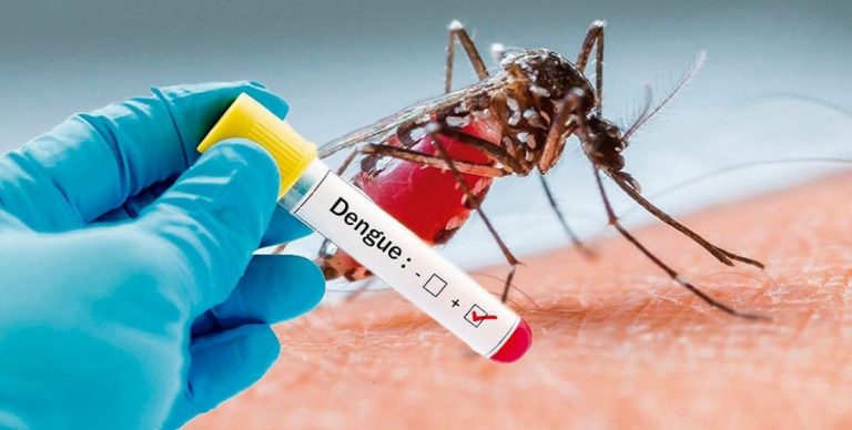 Dengue Alerta En La Región Por El Aumento De Casos Fm Poriajhú